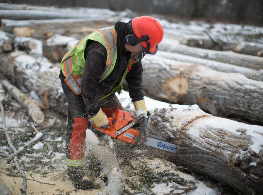 Photo & Video Gallery | Site C
